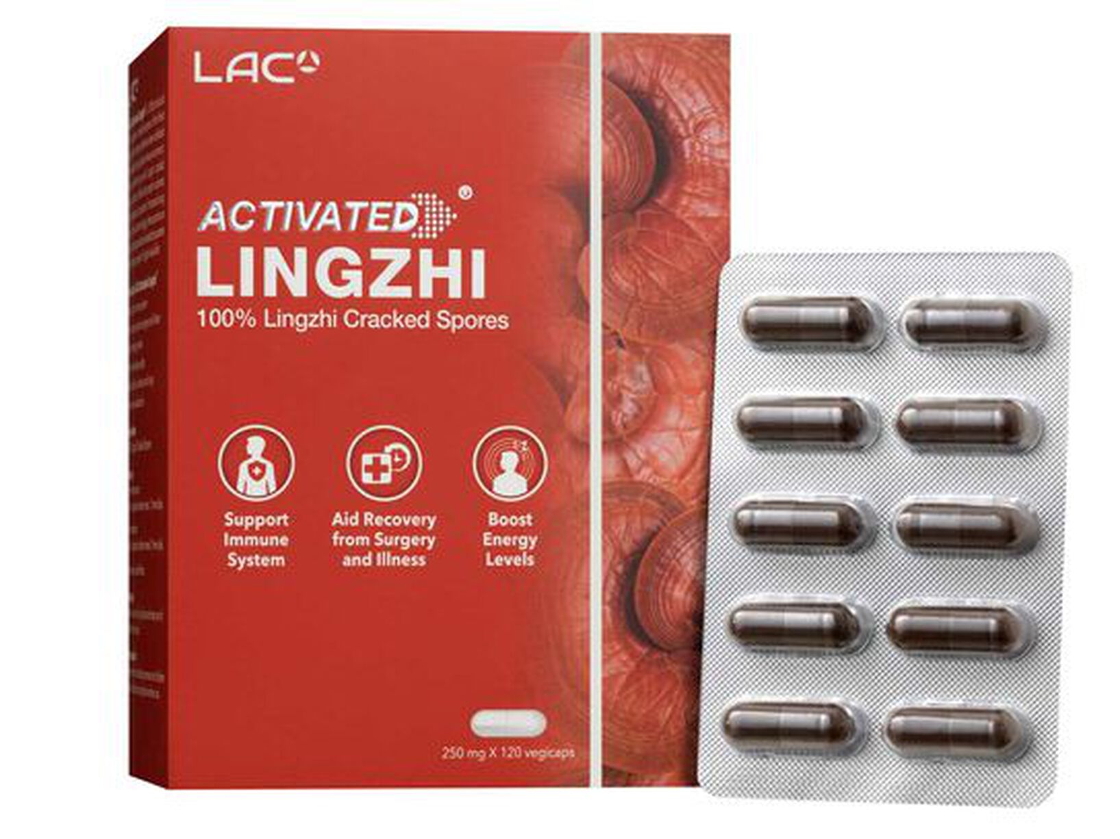 Lingzhi® - 100% Lingzhi Cracked Spores | LAC Philippines
